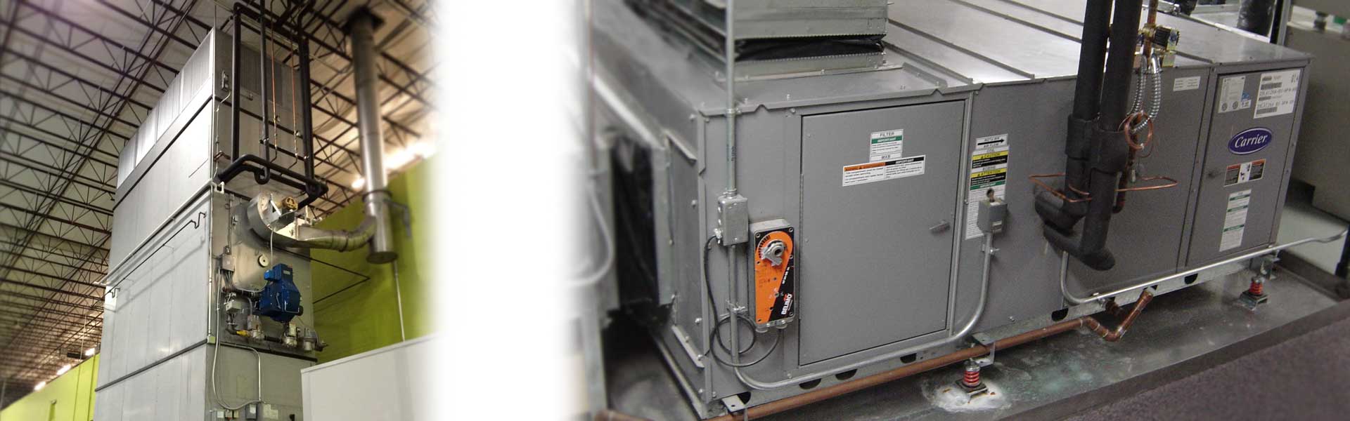 | Brecke - Cedar Rapids, IA